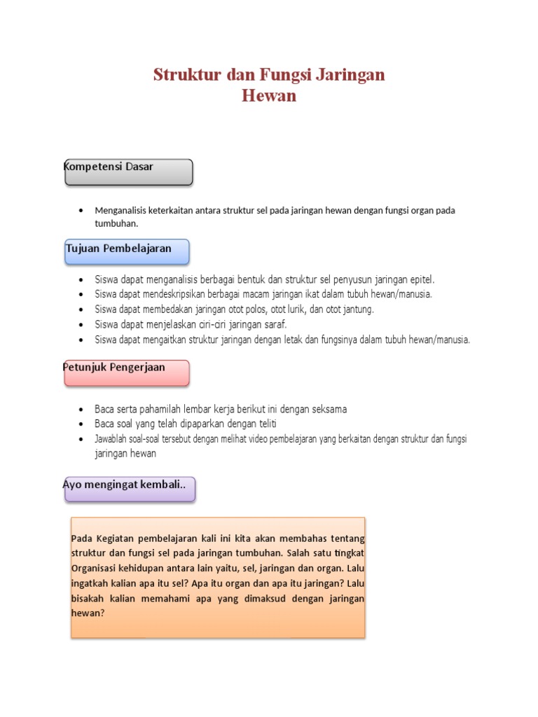 LKPD Organ Pada Hewan Dan Manusia - Risma | PDF