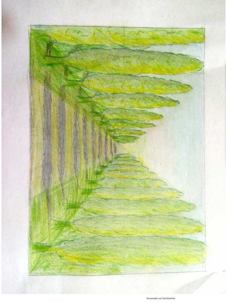 Perspectiva Central y Vista en Planta | PDF