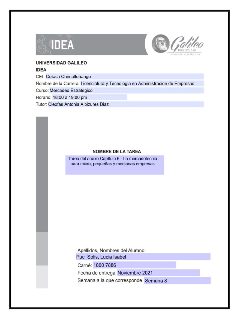 Tarea Del Anexo Capítulo 6-La Mercadotecnia para Micro, Pequeñas y Medianas Empresas | PDF