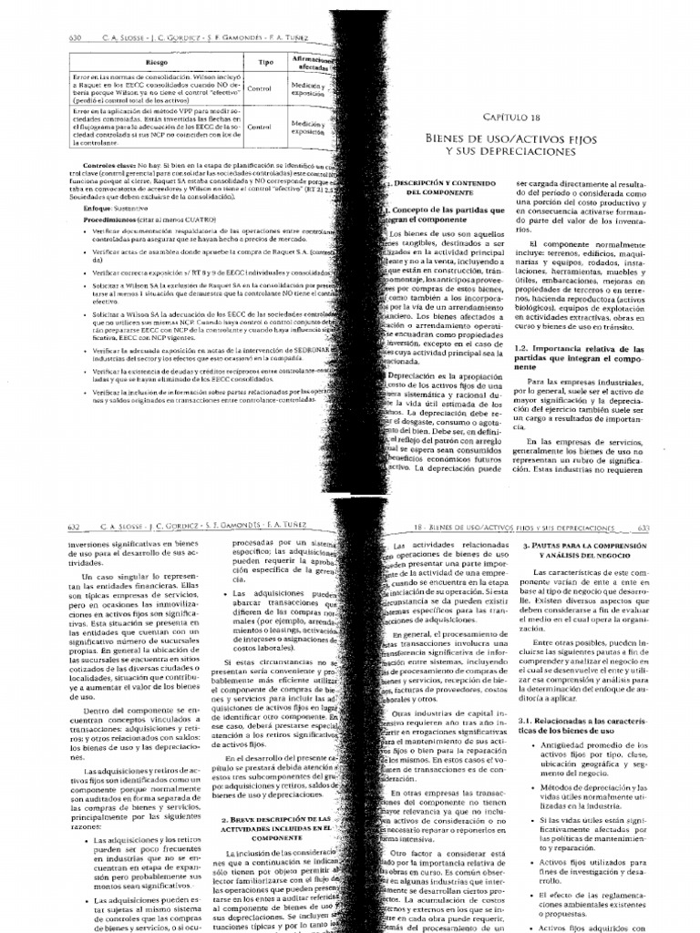 Slosse - Auditoria - Capitulo 18 | PDF