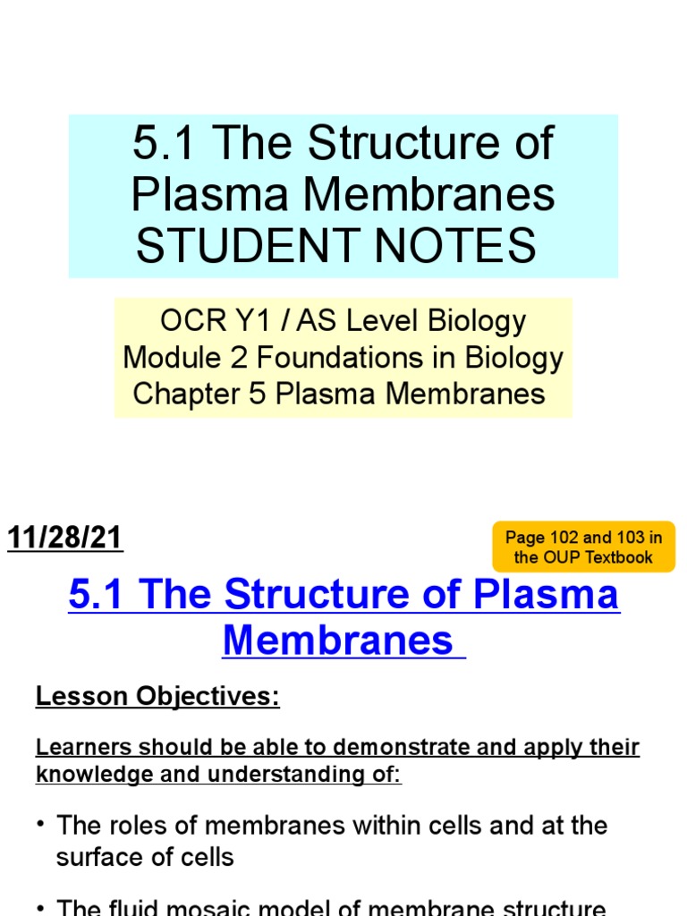 5.1 The Structure of Plasma Membranes Student Notes | PDF | Cell ...