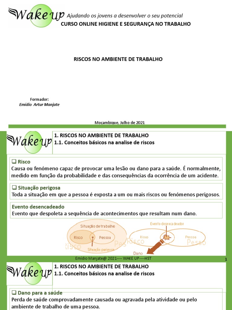 Aula 7 HST | PDF | Fator de risco | Ambiente natural
