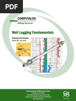 Basic Log Interpretation Chart PDF | PDF | Porosity | Sedimentology
