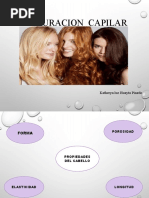 Lanco Color Palette - Lanco - Centroamérica | PDF