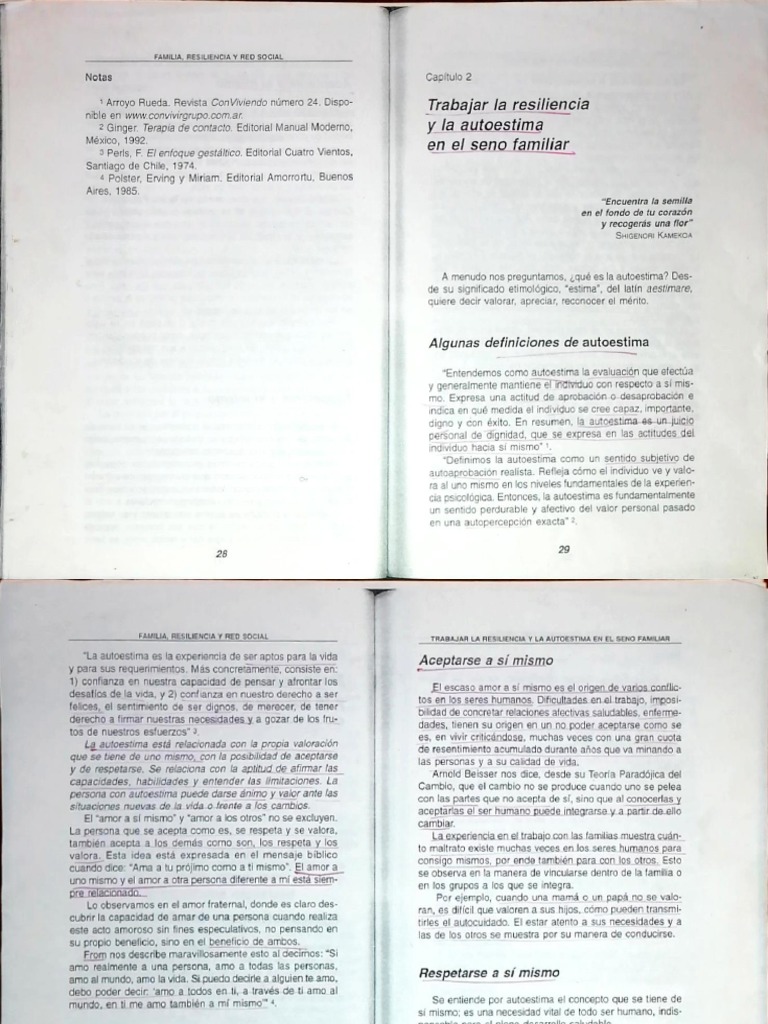 Resiliencia y Autoestima Familiar | PDF | Autoestima | Amor