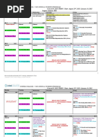 ATI 3 Critical Points Template Guide | PDF