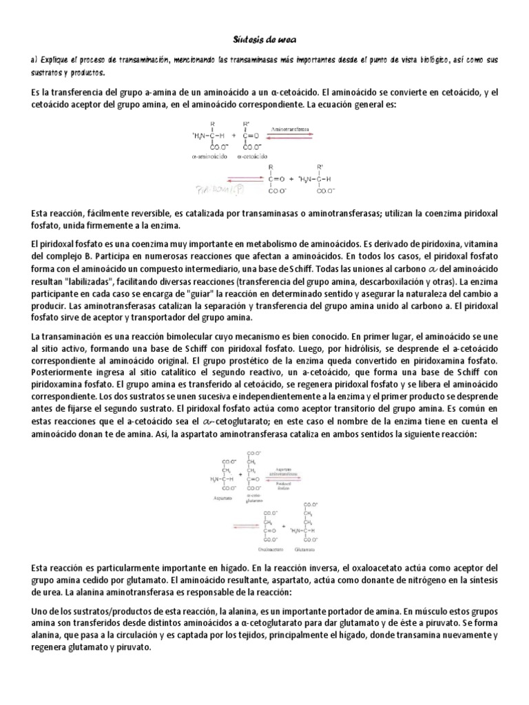 Bioquimica II (Guia III) | PDF | Transaminasa | Biomoléculas