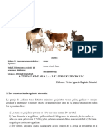 Actividad Integradora 5.: Animales de Granja | PDF | Métodos y materiales de enseñanza
