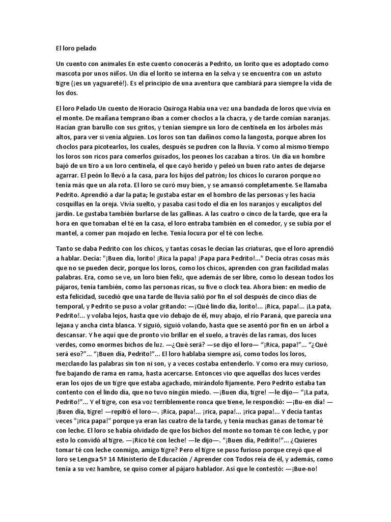 El Loro Pelado | PDF | Género gramatical | Adjetivo