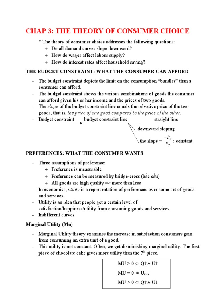Chap 3: The Theory of Consumer Choice | PDF | Utility | Marketing