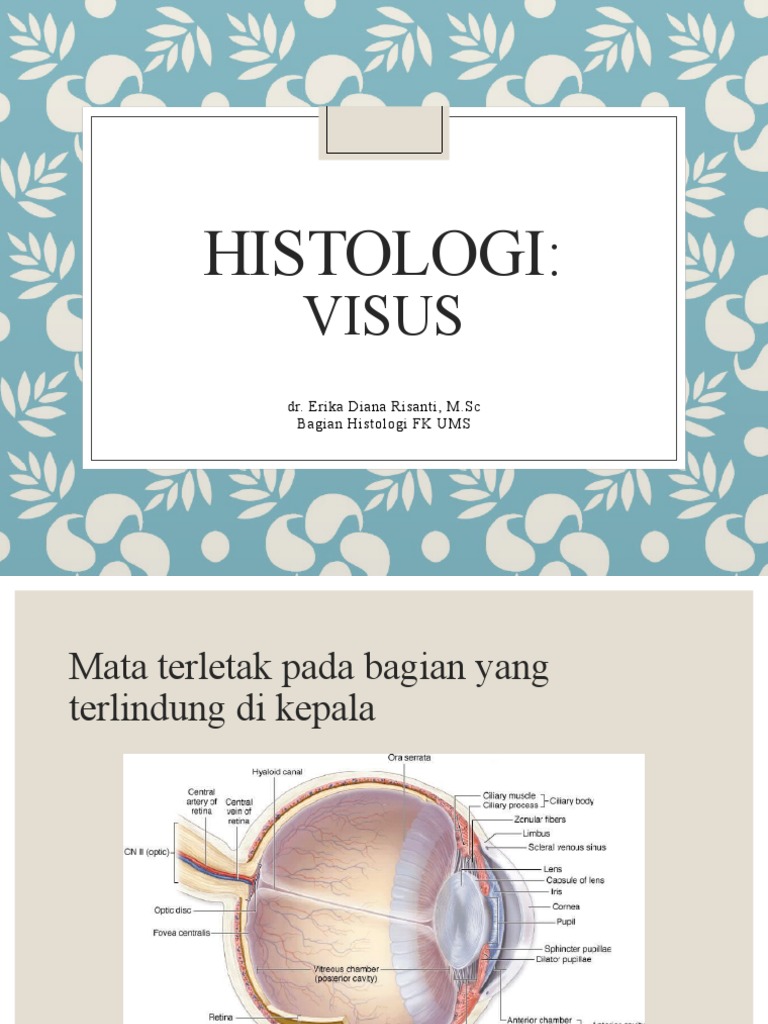 Visus | PDF | Kesehatan Holistik | Sains & Matematika