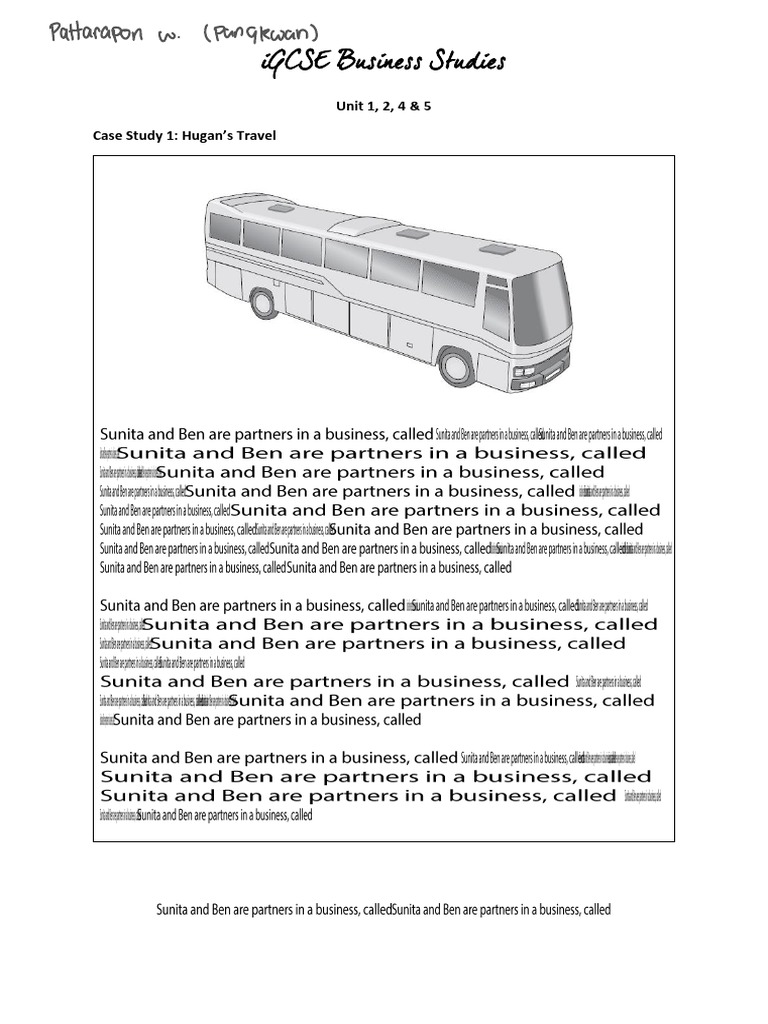 iGCSE Business Studies: Unit 1, 2, 4 & 5 Case Study 1: Hugan's Travel ...