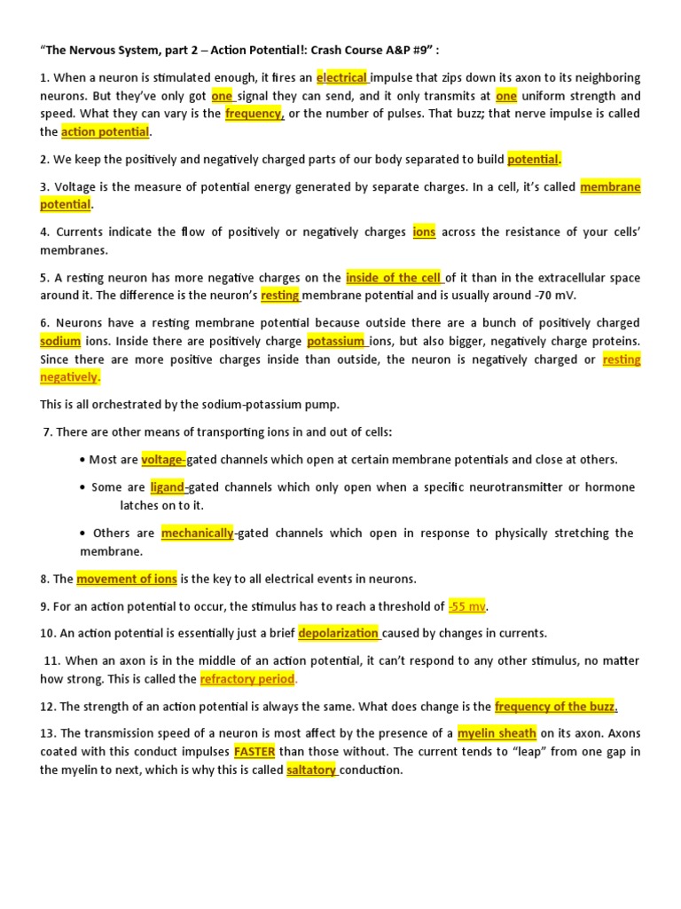 DNAwesome The Nervous System Part 2 Crash Course AP 9 | PDF | Action ...