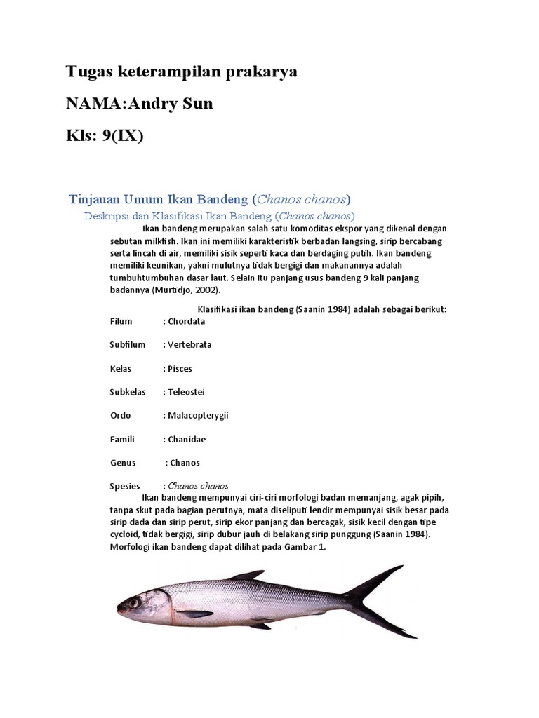 Tugas Keterampilan Prakarya NAMA:Andry Sun KLS: 9 (IX) : Tinjauan Umum Ikan Bandeng (Chanos ...
