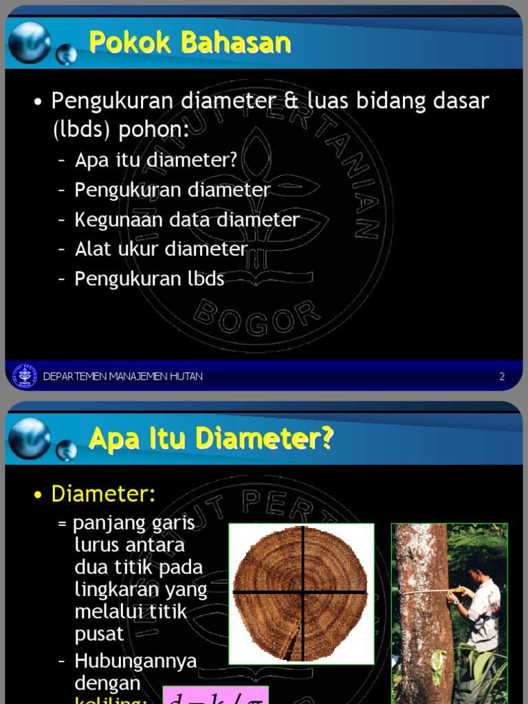 Diameter Pohon | PDF