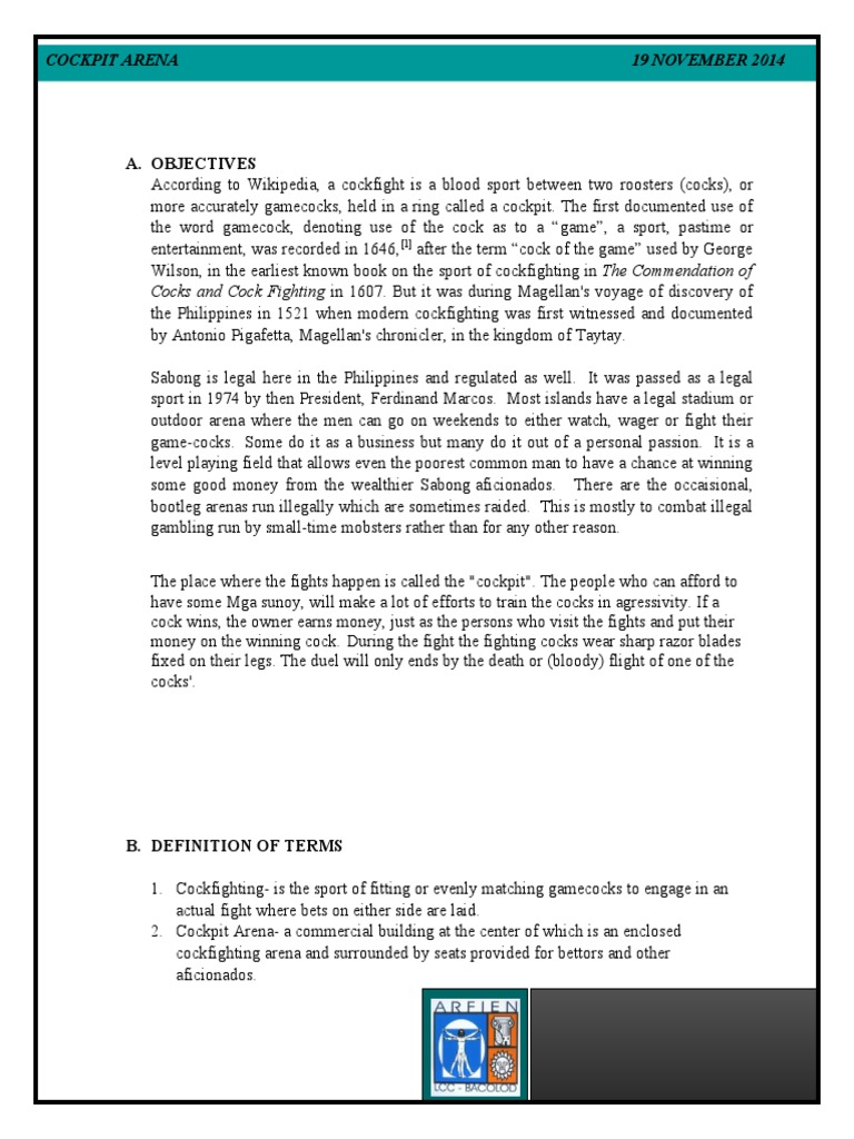 Cockpit Arena 1 | PDF