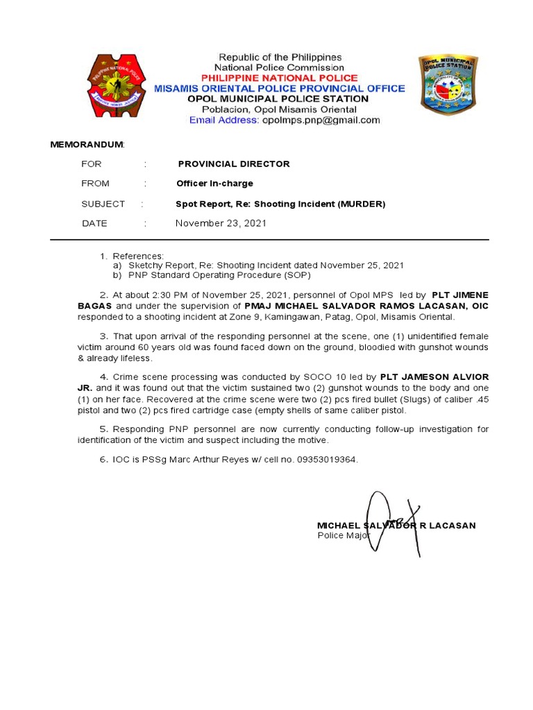 Murder Incident Spot Report | PDF