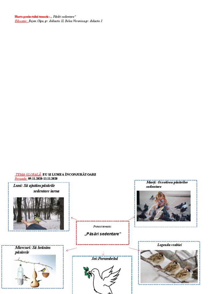 Harta Proiectului Tematic | PDF