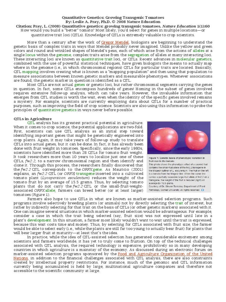Alleles Locus Genome Segregation Quantitative Trait Molecular Genetics ...