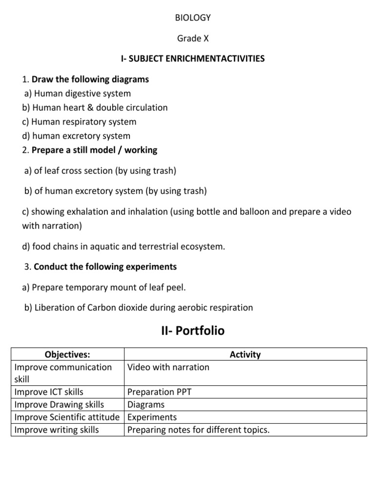 Excretory System Enrichment Activities | PDF