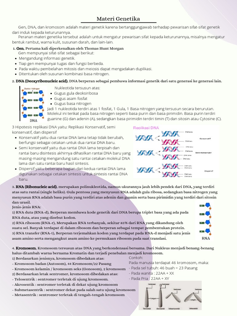 Poster Materi Genetika | PDF