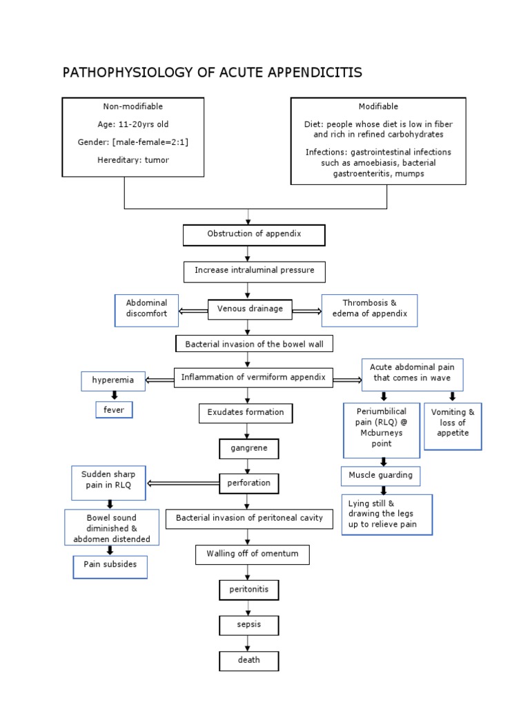 Pathophysiology of Acute Appendicitis | PDF