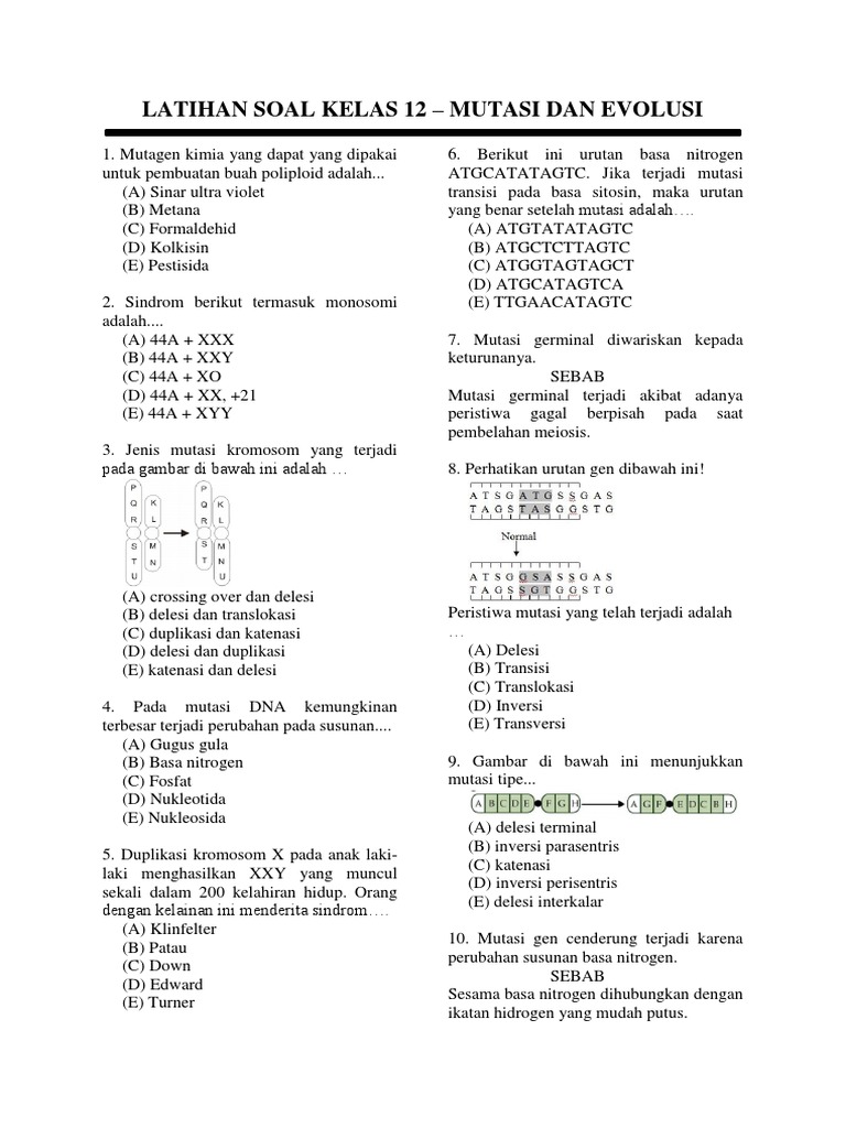 SOAL MUTASI Dan EVOLUSI | PDF