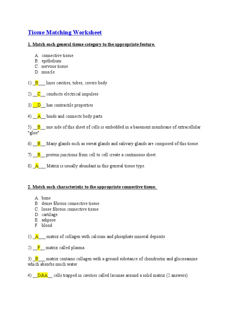 Tissue Matching Worksheet: 1. Match Each General Tissue Category To The ...