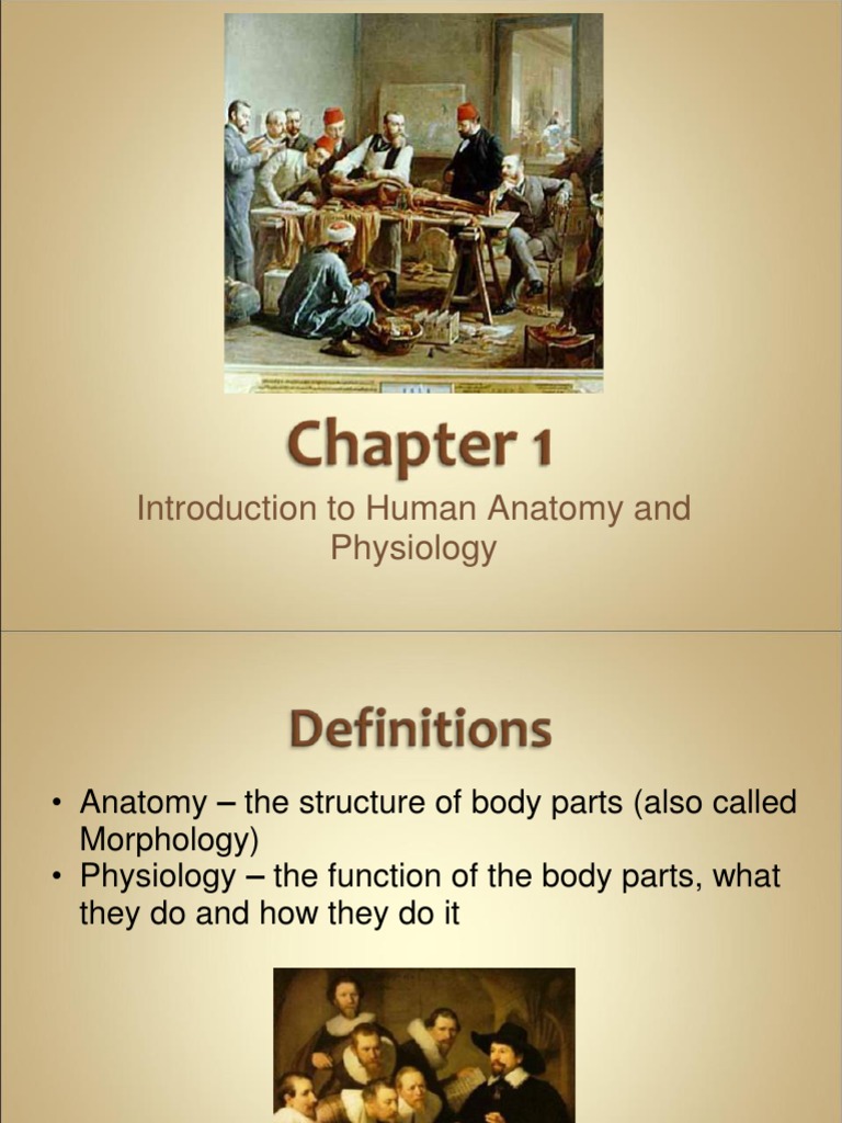 Introduction to Human Anatomy Basics | PDF | Anatomical Terms Of ...