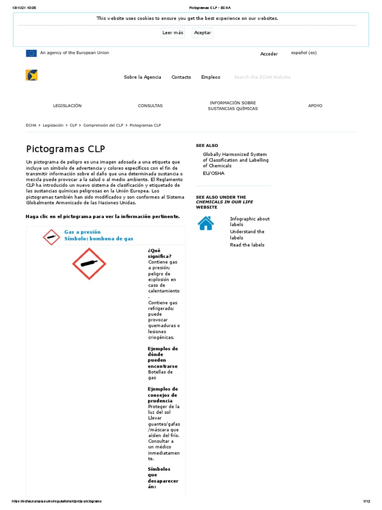 Pictogramas CLP - ECHA | PDF | Química | Materiales