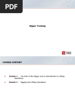 NSL LOLER Matrix PDF | PDF | Crane (Machine) | Rope