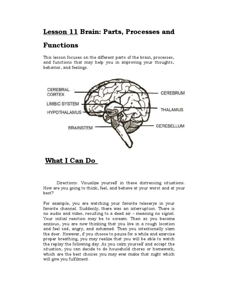Lesson 11 Brain: Parts, Processes and Functions | PDF | Thought | Mind