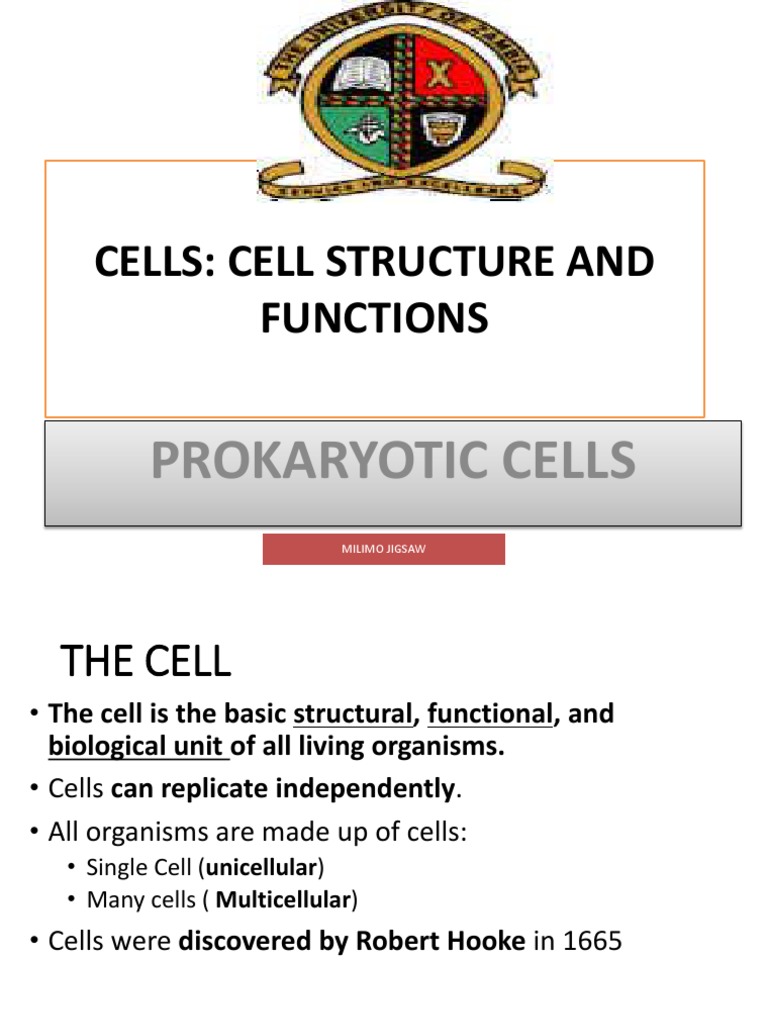 Cell Structure and Functions-Prokaryotic Cell-Unza (Jigsaw) | PDF ...