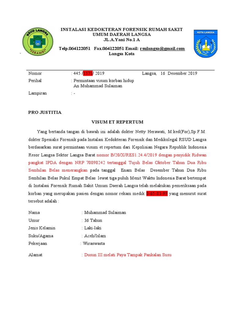 Visum Et Repertum | PDF