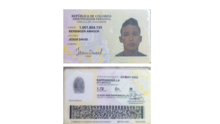 Cedula Jesus David | PDF