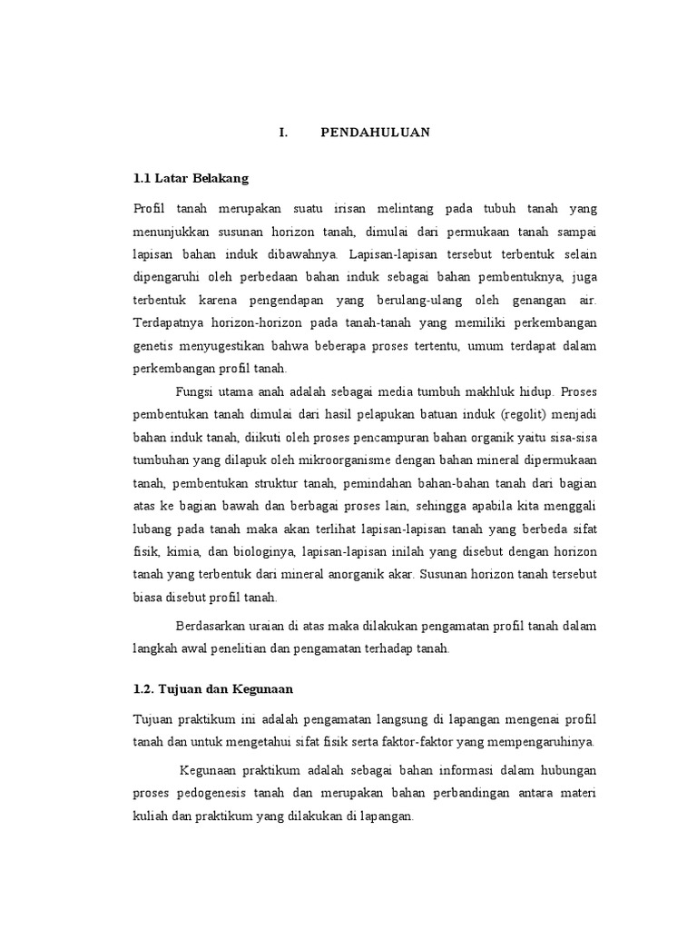 Laporan Profil Tanah | PDF