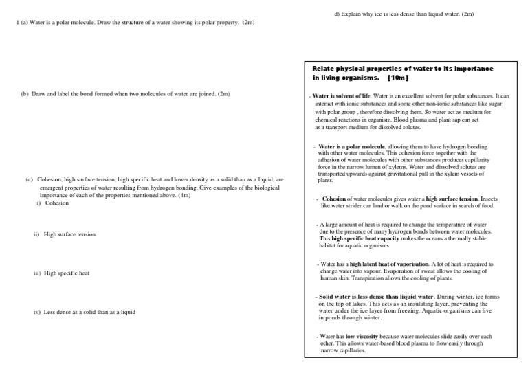 Water Structure & Essay 2021 | PDF | Water | Properties Of Water