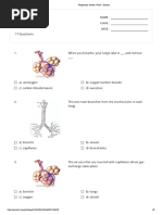 Respiratory System Practice Test | PDF | Respiratory Tract ...