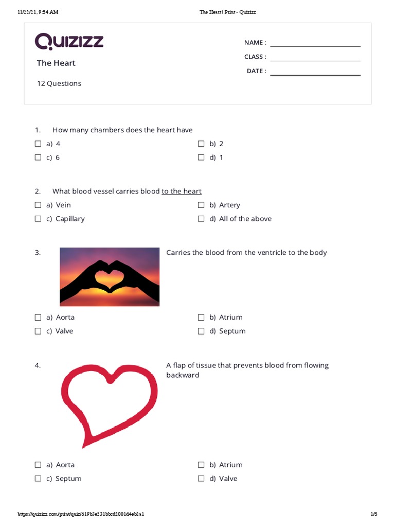 The Heart - Print - Quizizz | Download Free PDF | Heart | Atrium (Heart)