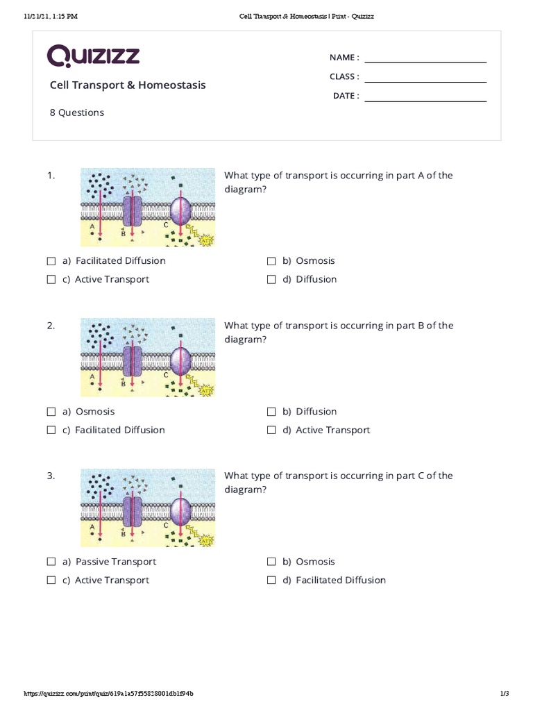 Cell Transport & Homeostasis - Print - Quizizz | PDF | Osmosis | Life ...