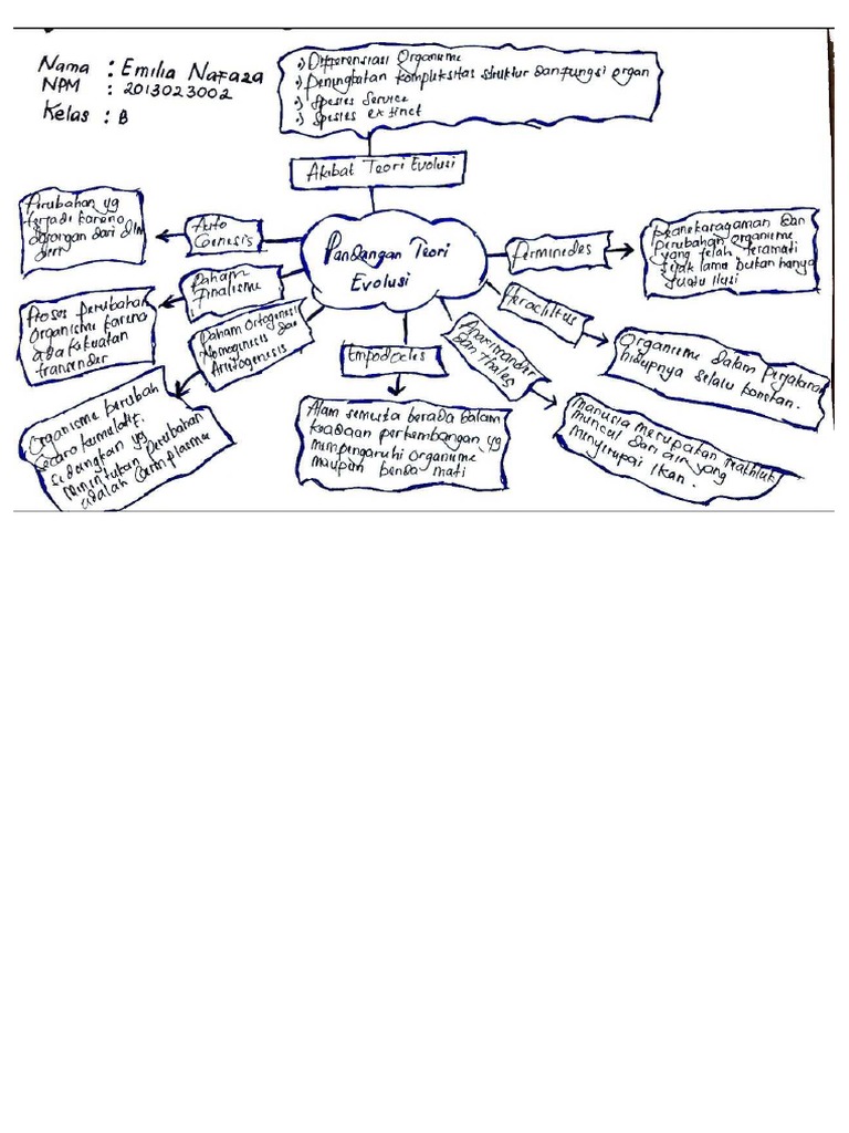 Emilia Nafaza 2013023002 Mind Mapping Pandangan Teori Evolusi | PDF