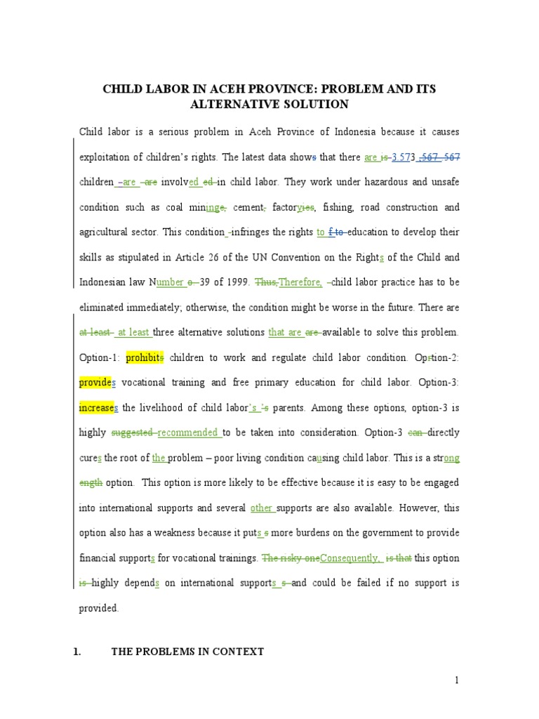 Child Labor Issues and Solutions in Aceh | PDF | Child Labour | Labour ...