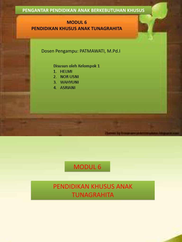 KELOMPOK 1 Pengantar Pendidikan ABK MODUL 6 | PDF