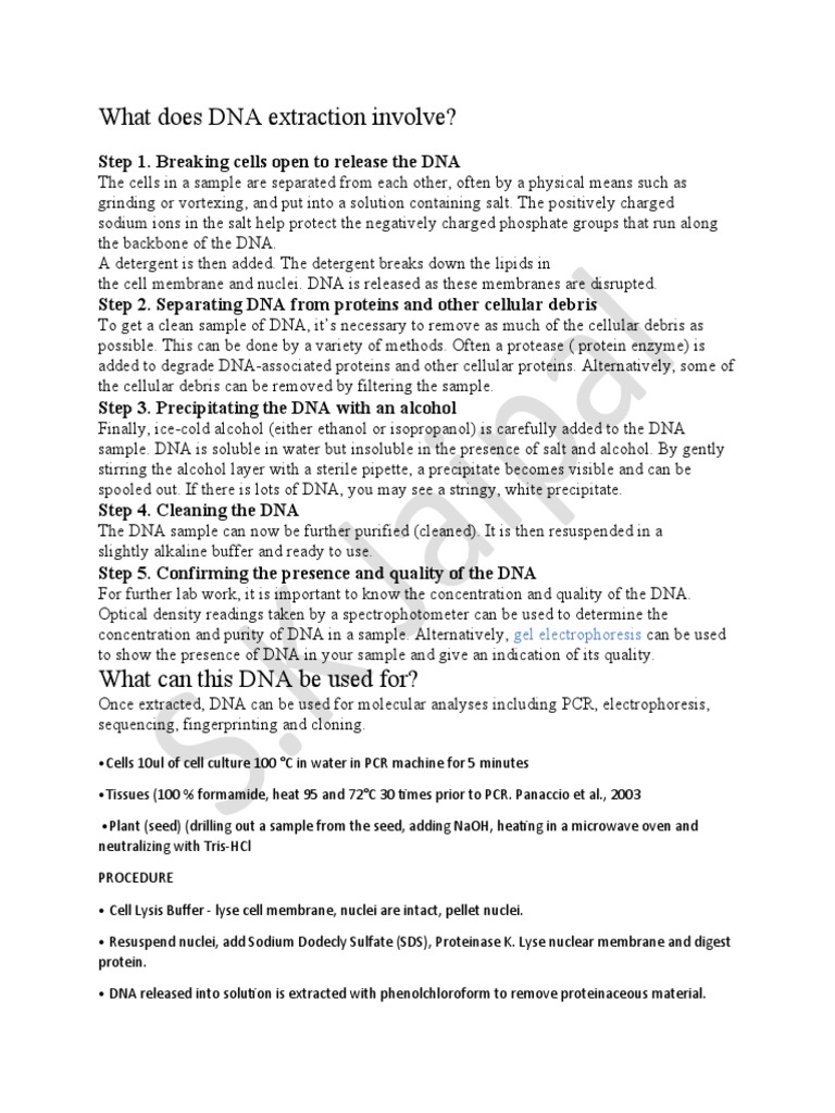 A Step-by-Step Guide to DNA Extraction | PDF | Ethanol | Sodium Dodecyl ...