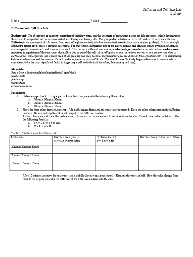 Diffusion and Cell Size Agar Lab GEN DATA | PDF | Applied And ...