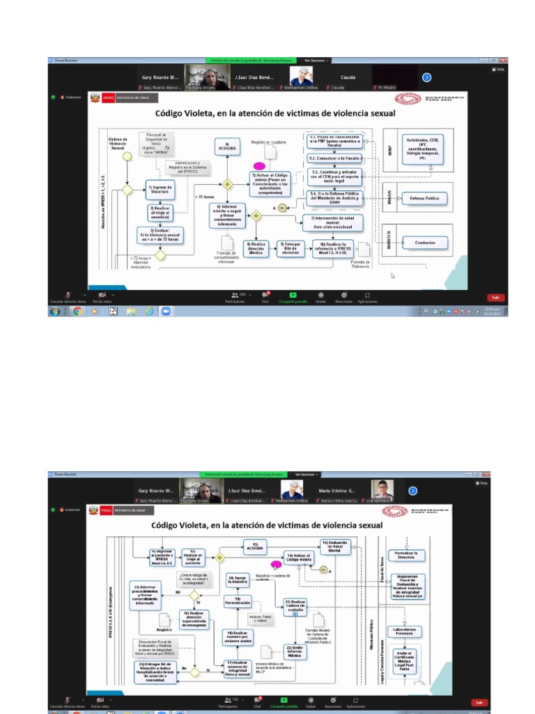 Violencia Codigo Violeta | PDF