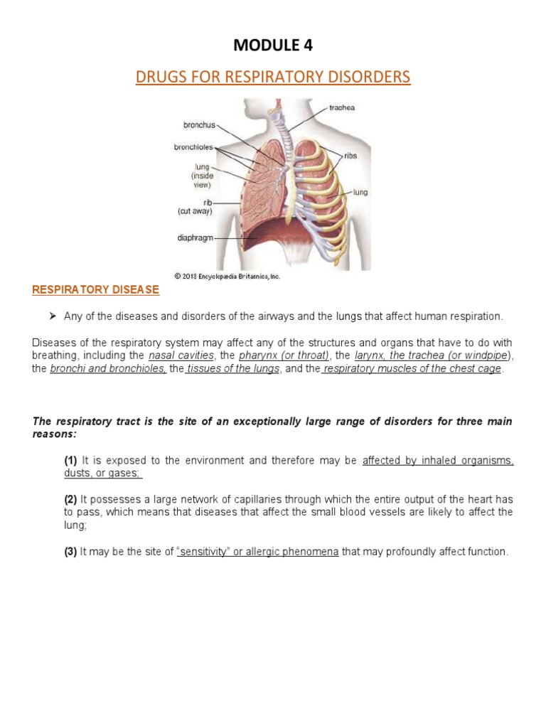Module 4 - Topic 1 Asthma | PDF | Respiratory Tract | Asthma