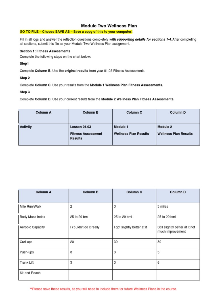 Module Two Wellness Plan Updated | PDF | Physical Fitness ...