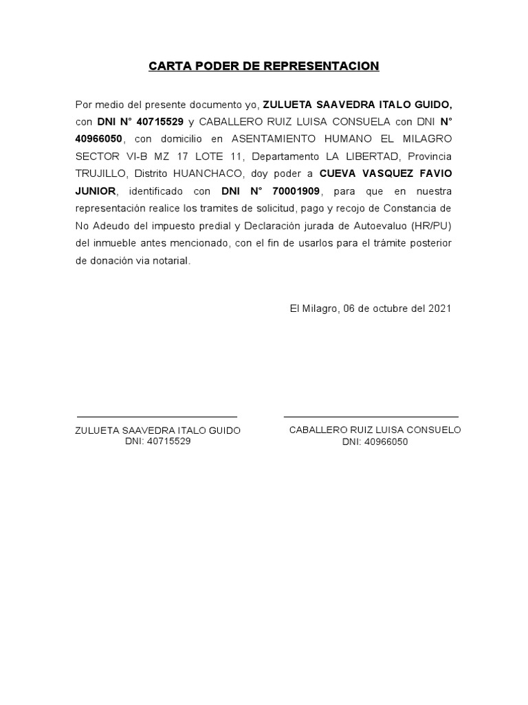 Modelo de Carta Poder | PDF