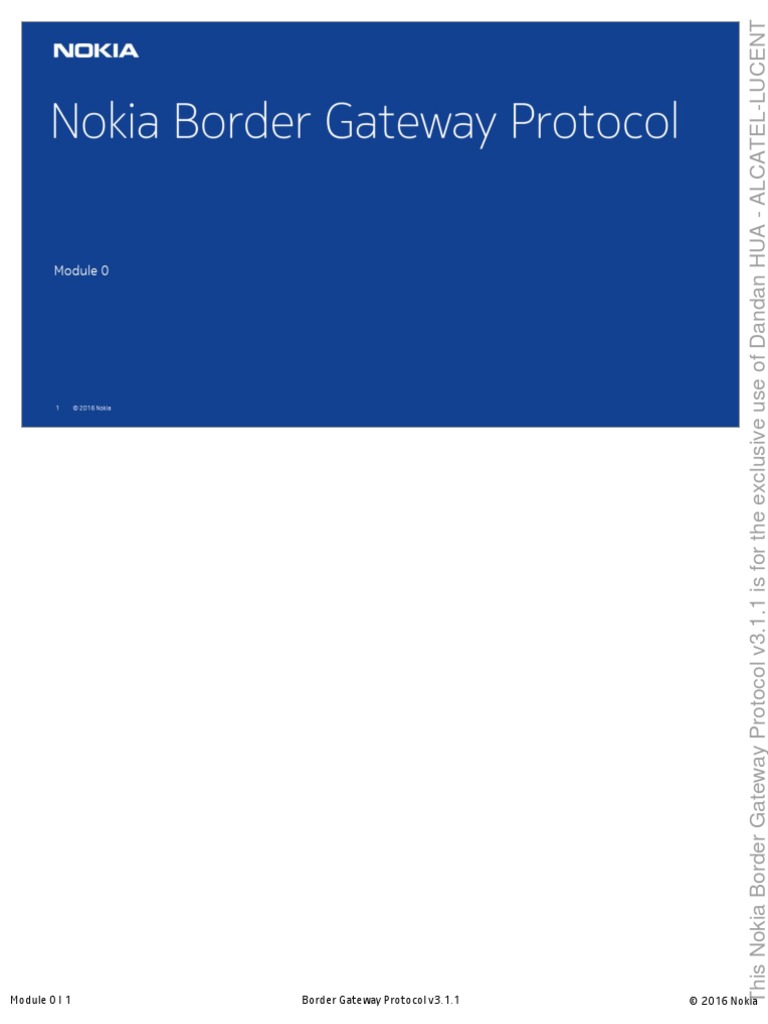 Nokia Border Gateway Protocol - SG - V3.1 | PDF | Router (Computing) | Computer Network
